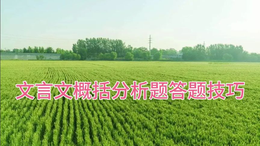 2022年高考文言文阅读二:如何快速解答文言文分析概括题?