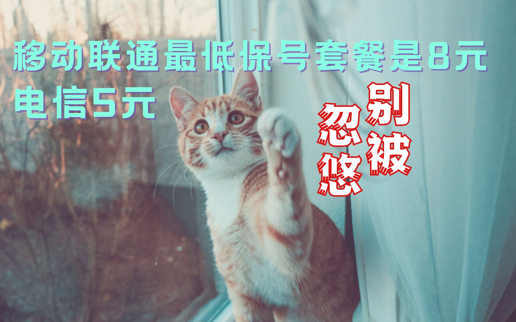 中国移动8元保号套餐录屏操作版