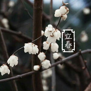 傾耳傾聽 