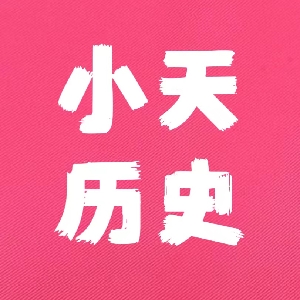 小天讲历史 