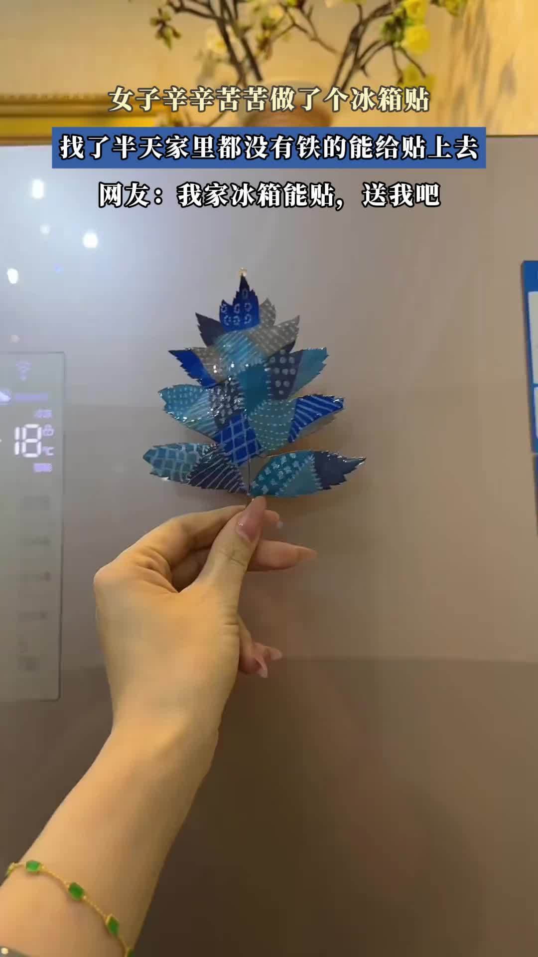 女子辛辛苦苦做了个冰箱贴,找了半天家里都没有铁的能给贴上去