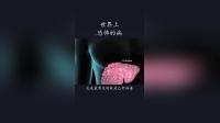 世界上十大最恐怖的病毒