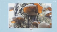 农行快农贷产品动漫简介