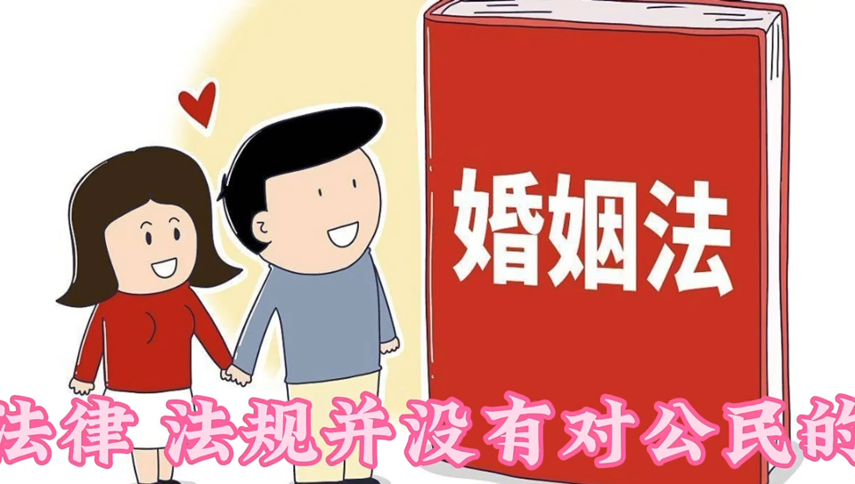 (2024)津民申890号再审申请及对天津市第一中级法院民一庭邵丹对(...