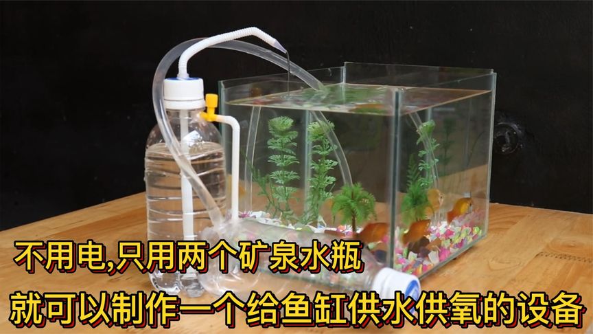 太神奇了,用两个矿泉水瓶就可以给鱼缸制作一个循环供水设备