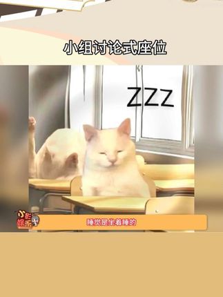 看似高效课堂 实则搞笑课堂 #校园生活 #上课日常 #内容过于真实 #...