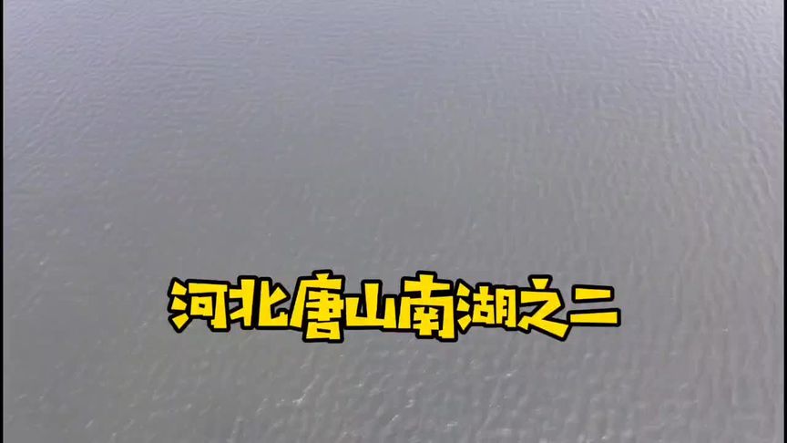 河北唐山南湖中央公园#唐山#摄影 #湿地公园 #航拍#大疆