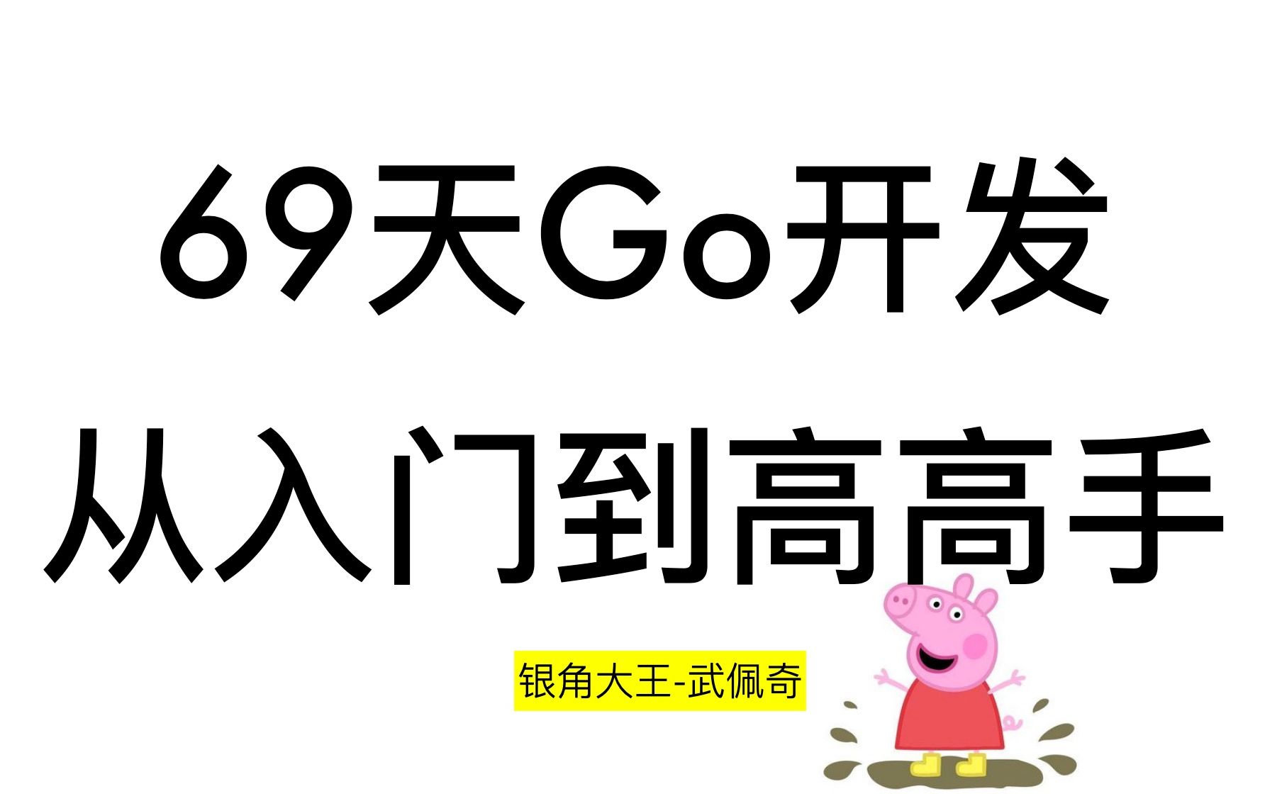 69天Go开发 从入门到高高手