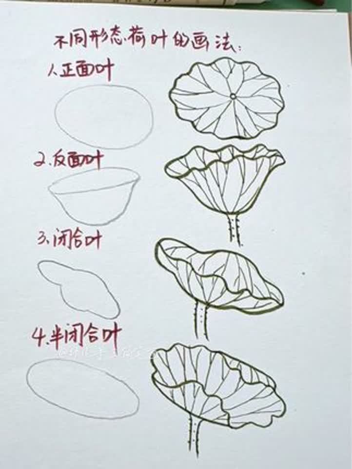 (第一集)四种荷叶的画法 有宝想学荷叶的画法,今天专门录制了一集 #...