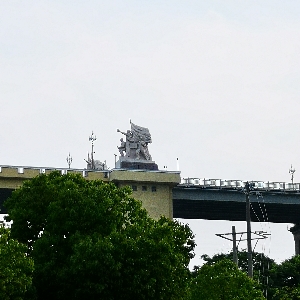 不怨不愤不逃避 