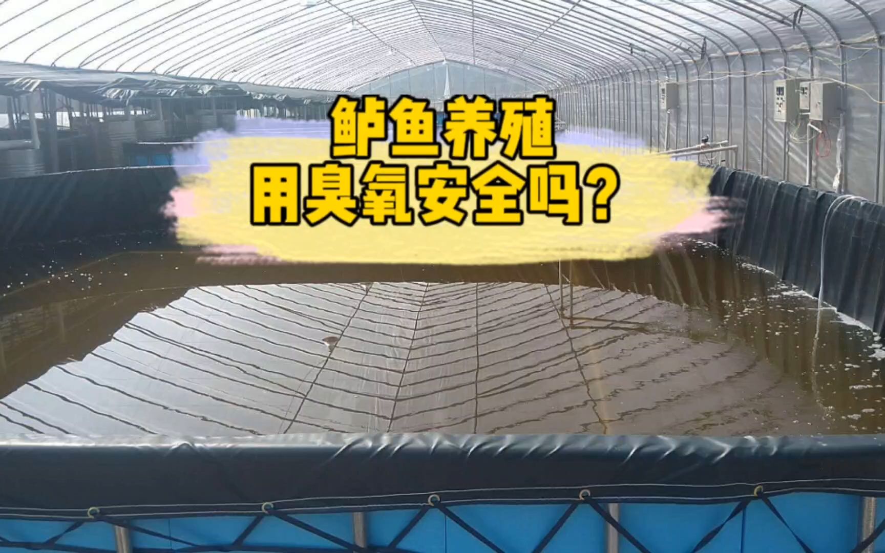 鲈鱼养殖用臭氧消毒安全吗?臭氧发生器臭氧机厂家测评养鱼臭氧
