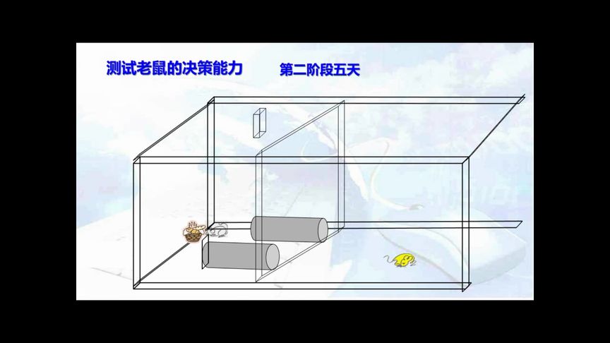 【枫叶云雨】为教师信息技术应用研发的培训课程《第三讲