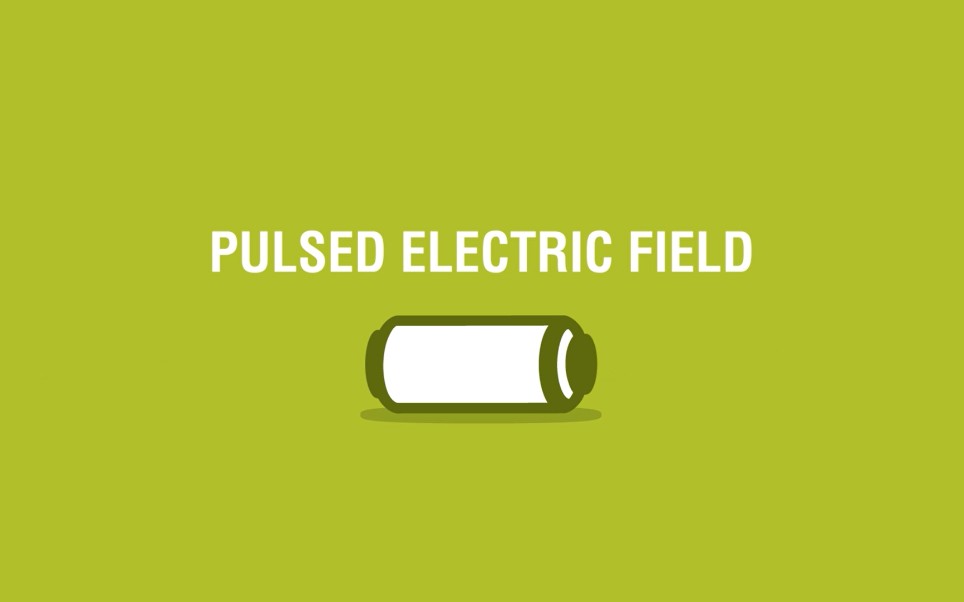 [自制中字]PEF(脉冲电场)技术在食品加工中的优势