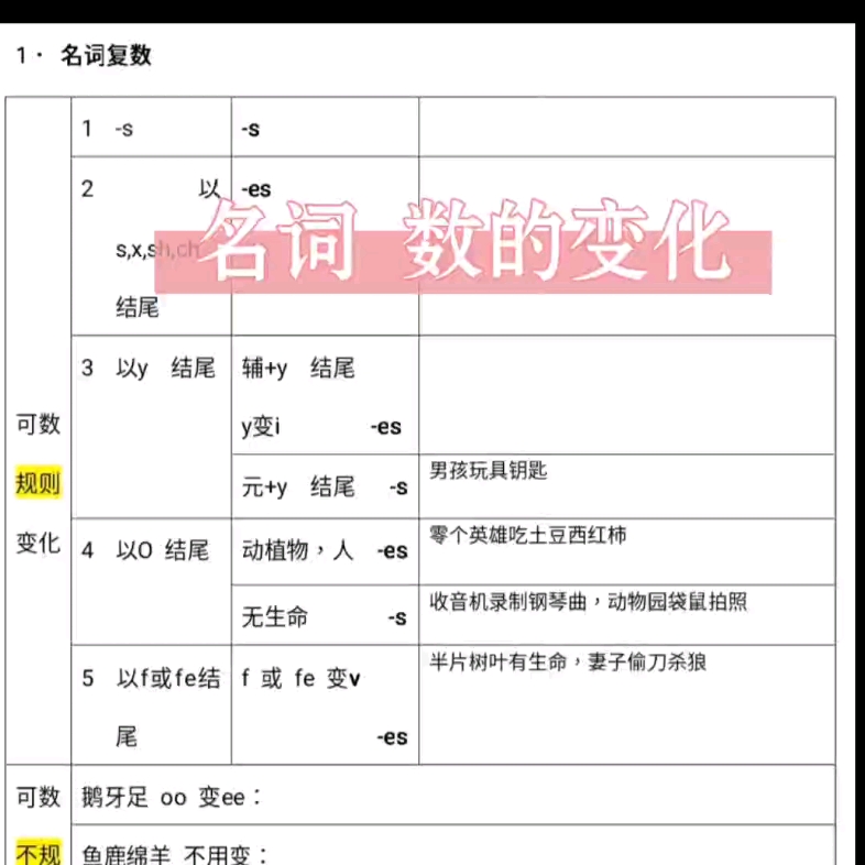 名词-数的变化