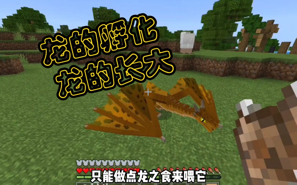 我的龙孵化出来了!_我的世界