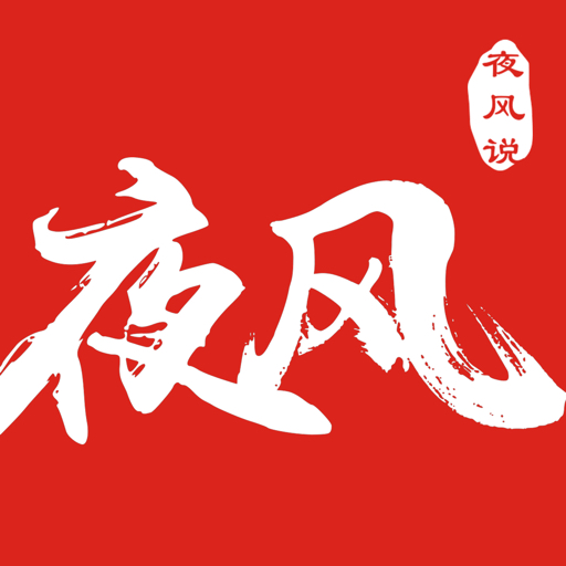 夜风说副业 