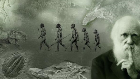 达尔文进化论又被质疑,生物进化或是跳跃式而非渐进式?