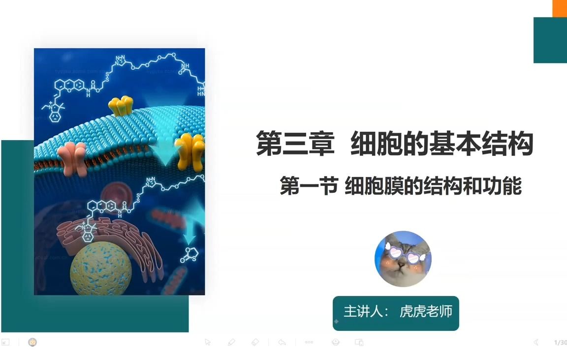 新高一必看!生物同步3-1细胞膜的结构和功能