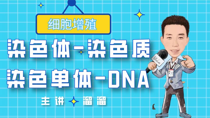 染色质、染色体、DNA和染色单体-高考-高中生物-有丝和减数分裂