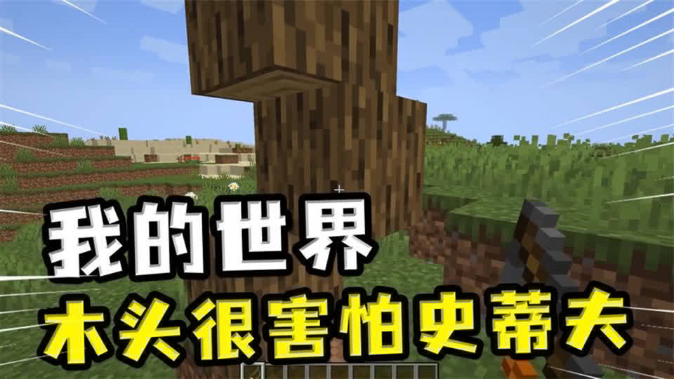 我的世界:木头很害怕史蒂夫,指针对着哪块