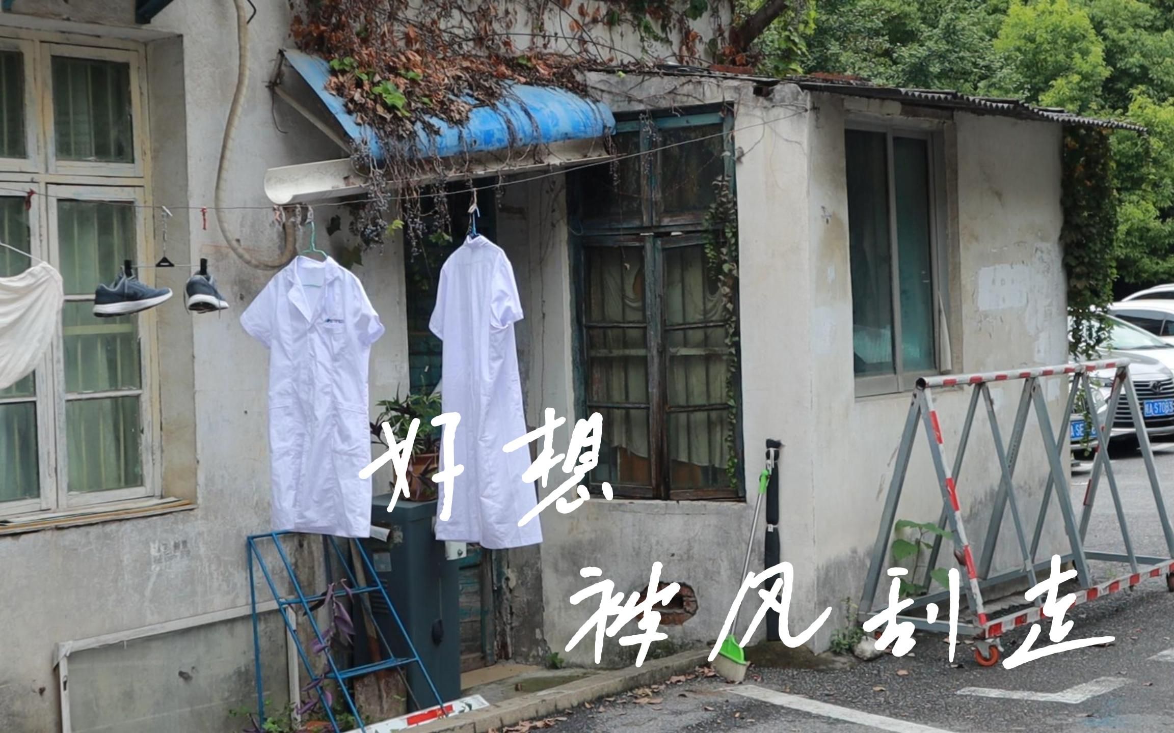 院落里观察人间的悠闲下午