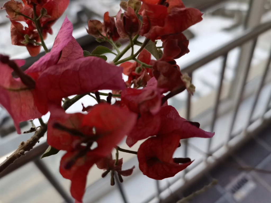 《灵枢.玉版论》主要论述,针刺的若干禁忌,提出痈疽邪毒,内陷脏腑及...