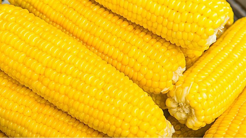 癌症病人放疗后吃什么,十大饮食补充营养、提高免疫力