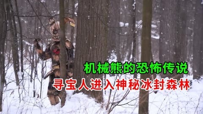 寻宝人陷入诡异冰封森林的困境,纪录片