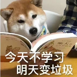 斯卡哈的猎犬 