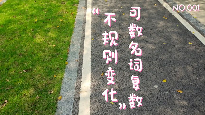 可数名词复数不规则变化口诀