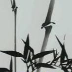 国画之家 