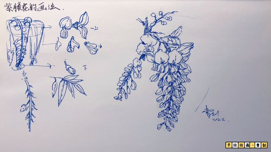 紫藤花怎么画?小白也能学会的零基础钢笔画课程,画画就如此简单