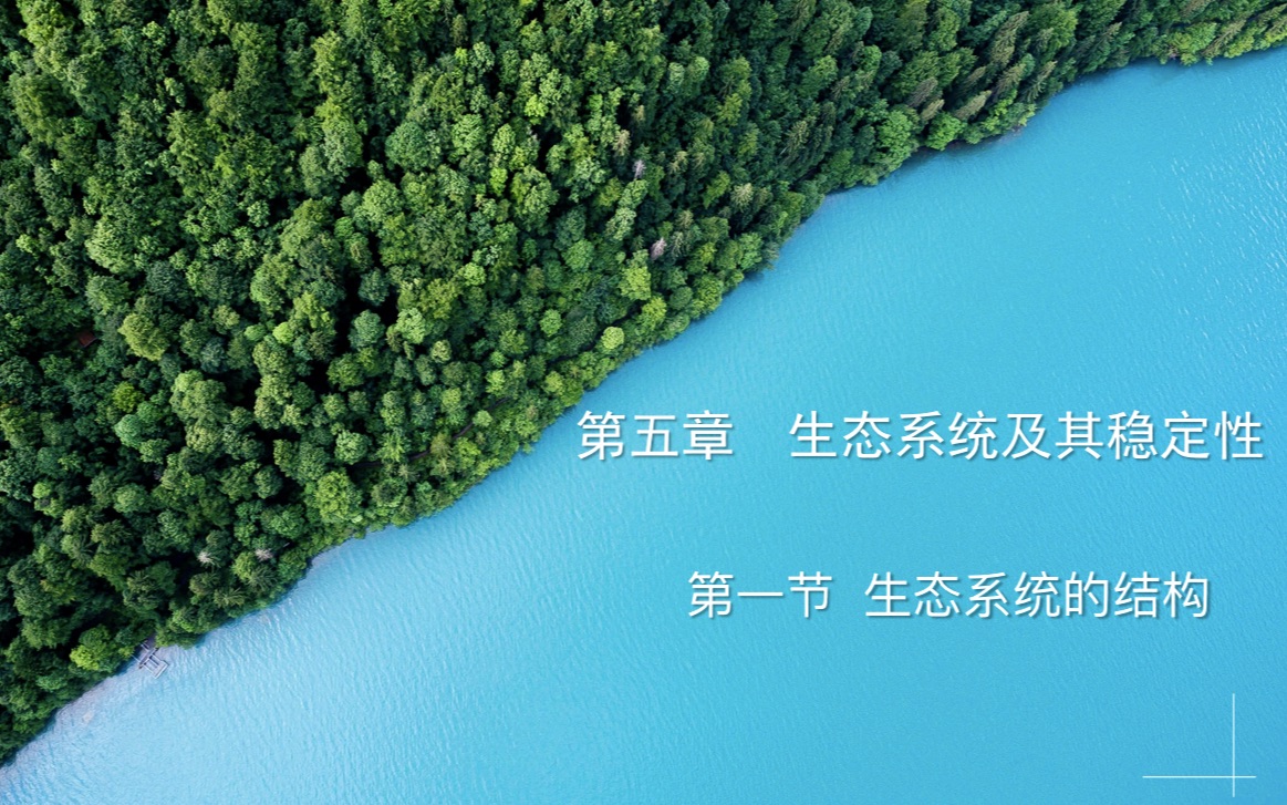 5.1生态系统的结构第1课时