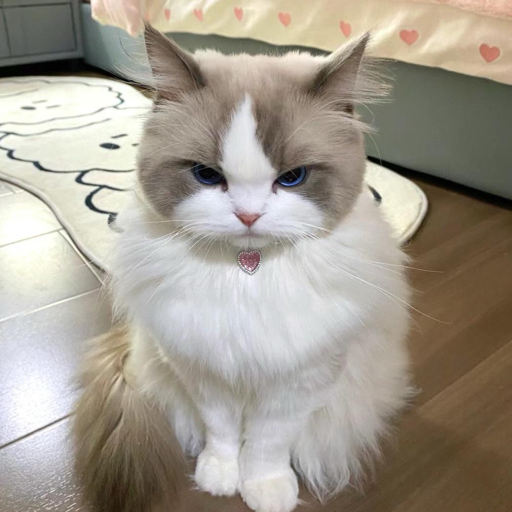 小鸭子游啊游1 