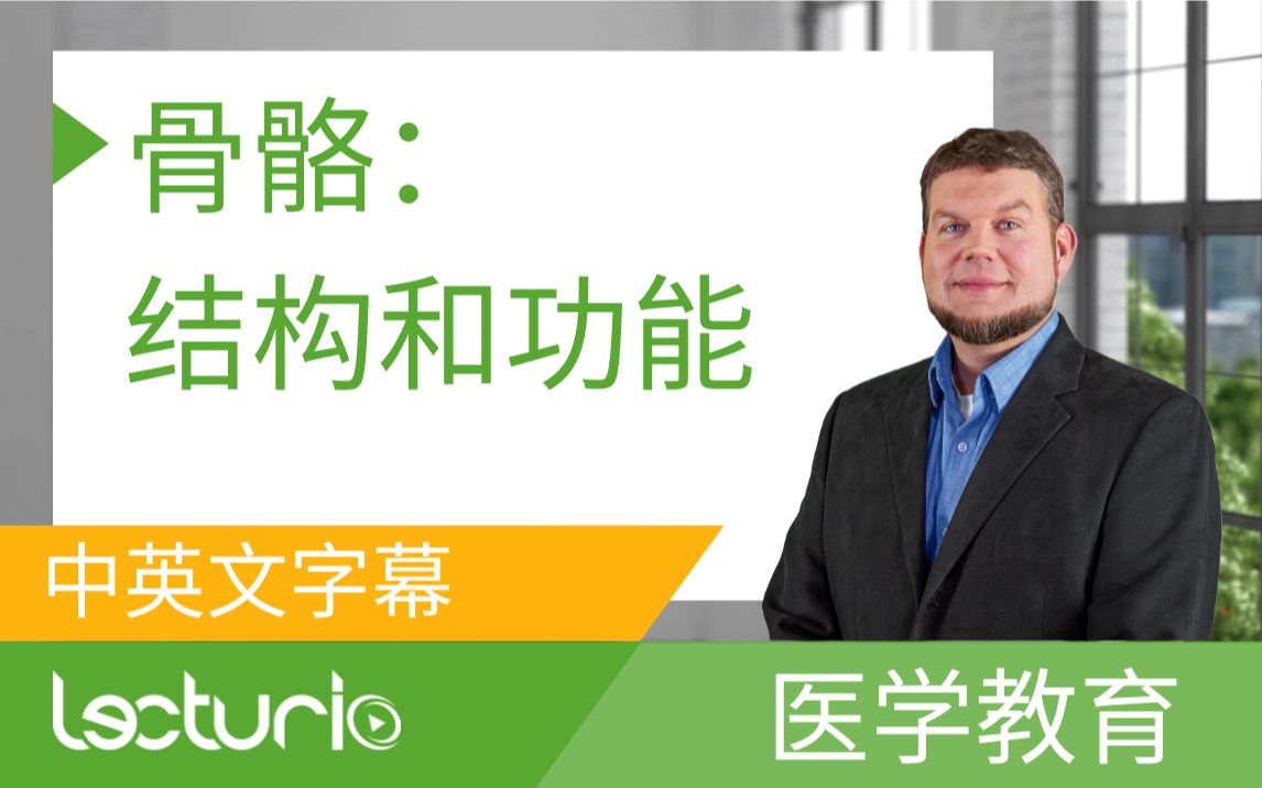 【Lecturio医学教育】骨骼:结构和功能 — 生理学