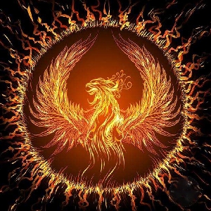鳳凰精選 