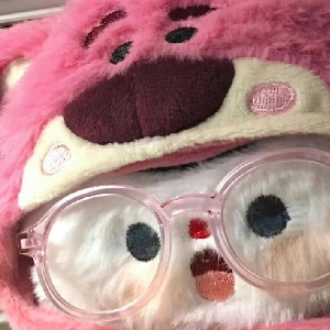 大喜福N 