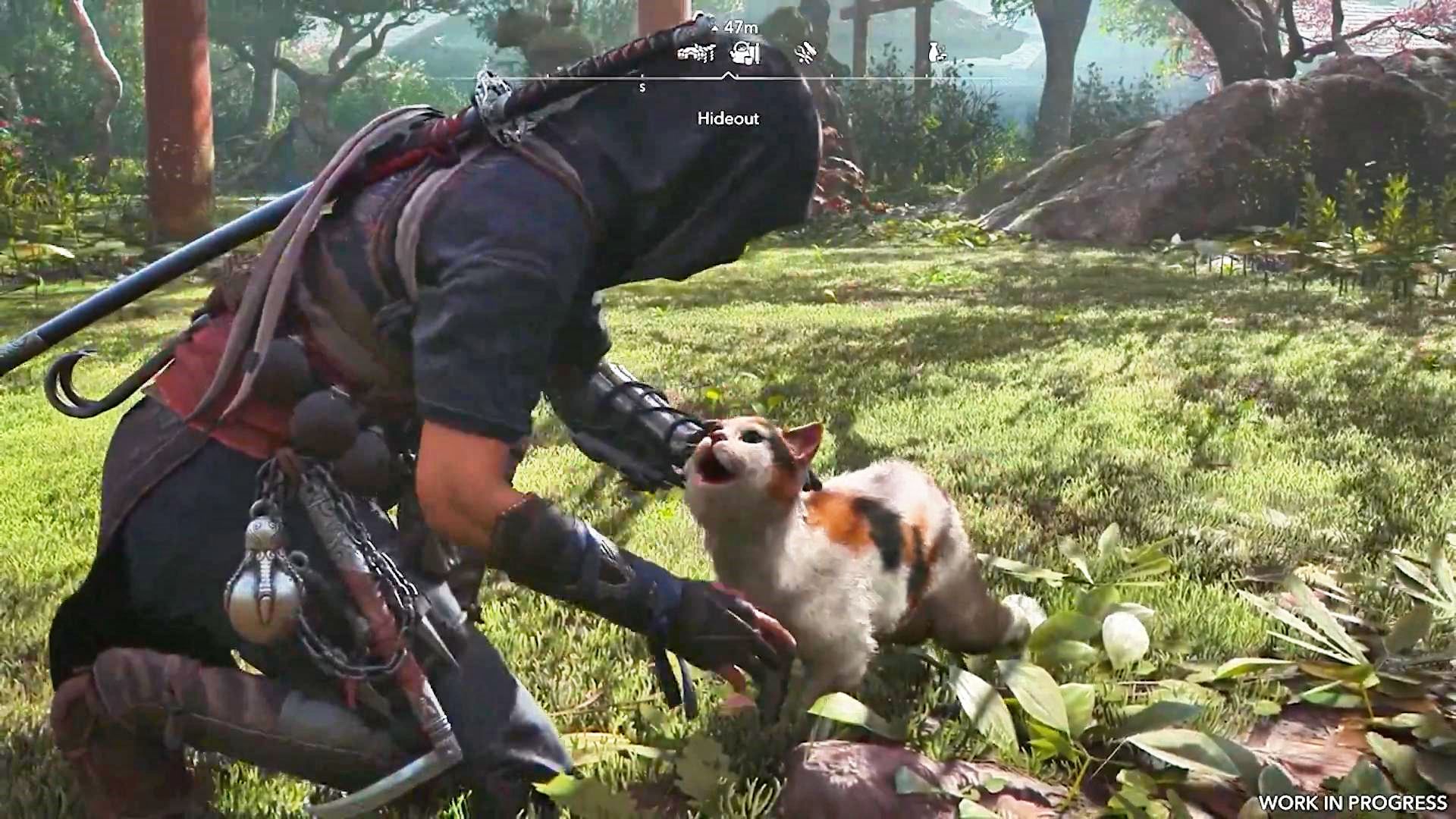 《刺客信条:影》新实机片段 奈绪江和猫猫互动_游戏热门视频