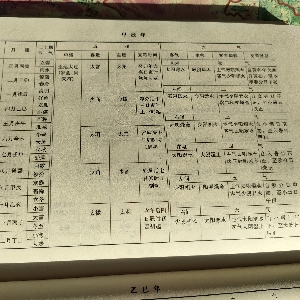 元元1981 
