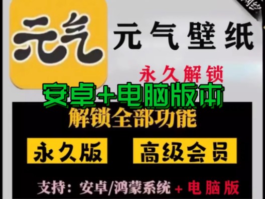...电脑壁纸软件,登录就是VIP无论是动态壁纸还是桌面主题统统免费使用