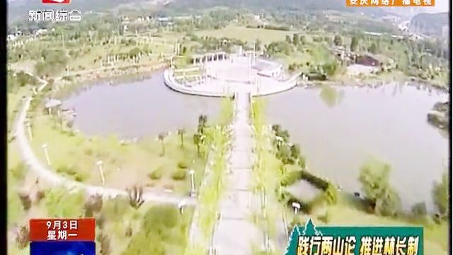 安庆桐城:推行林长制 实现林长治