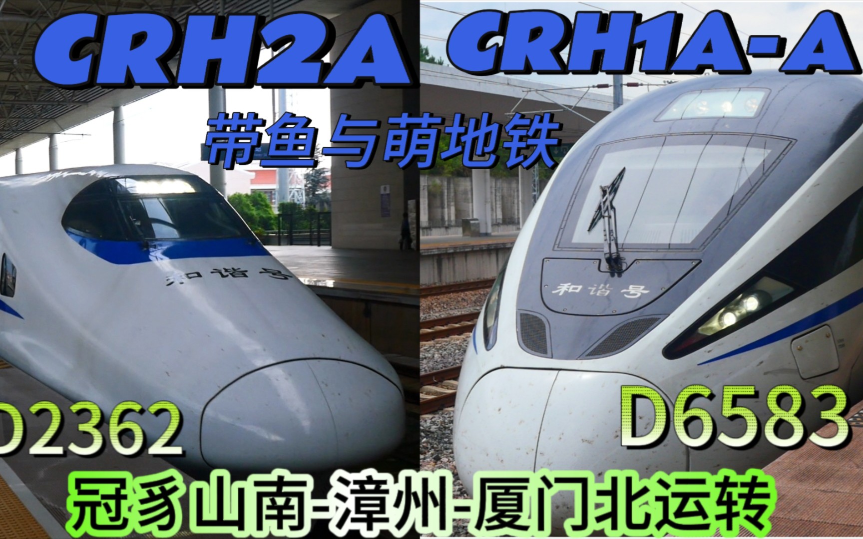 【CRVlog】北方车迷首次体验萌地铁与带鱼,厦门运转CRH1A-A/2A全...