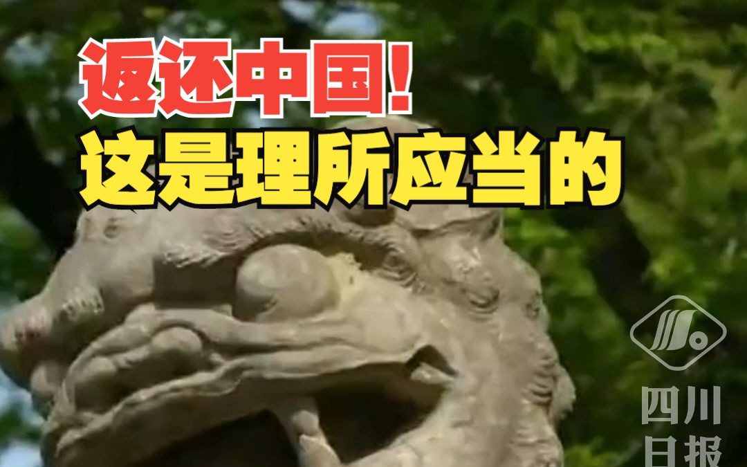 日本民间组织呼吁返还中国被掠夺文物,包括靖国神社门外两尊中国石狮