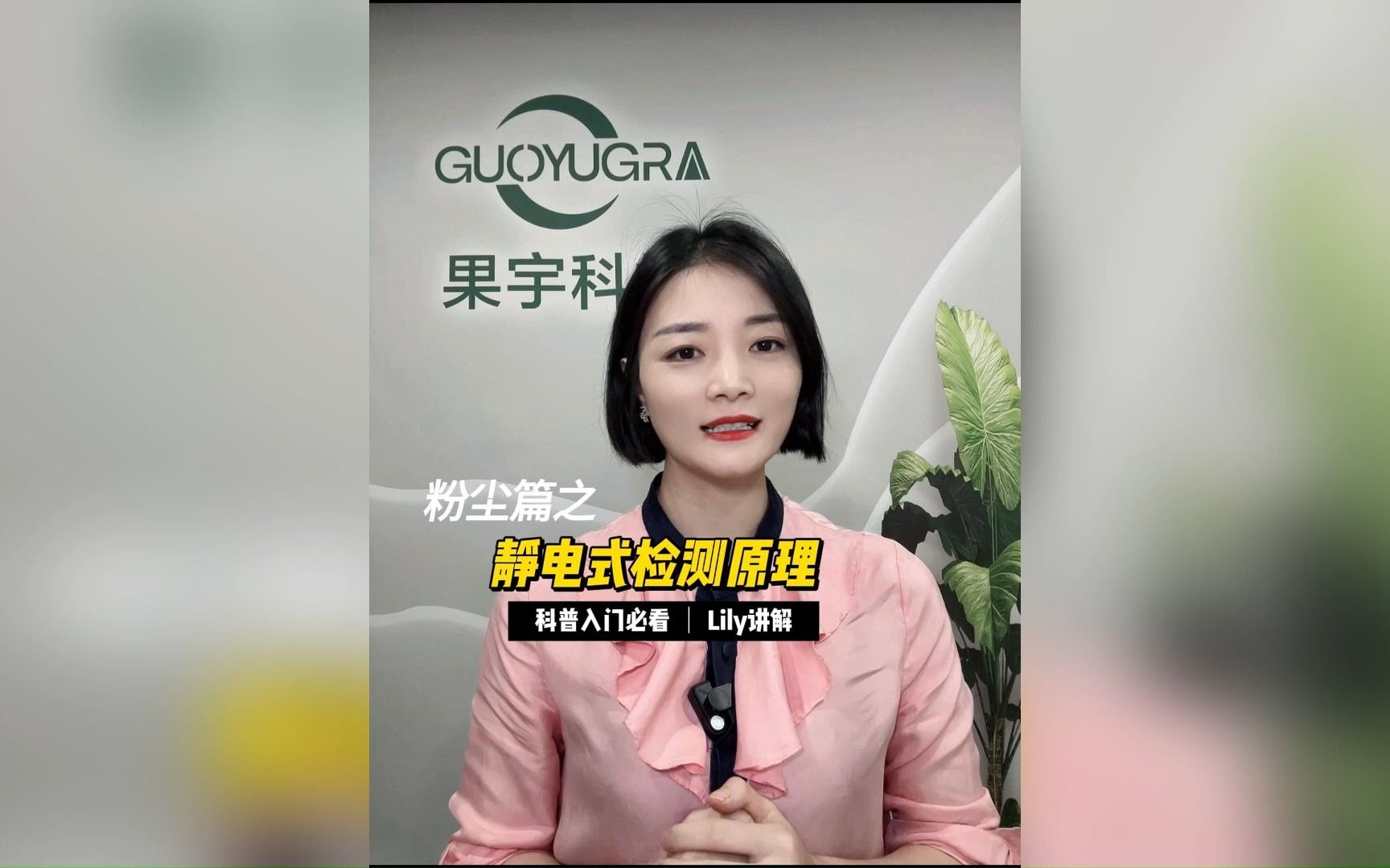 管道插入式布袋粉尘检测仪