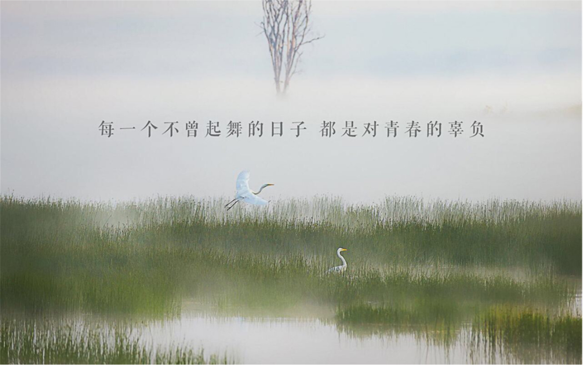 【日常】【读书计划】【钢铁是怎样炼成的】第二部第四章02