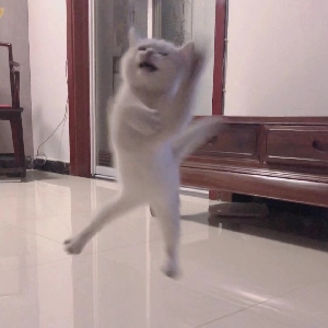 氯氯氯氯氯氯氯氯氯 