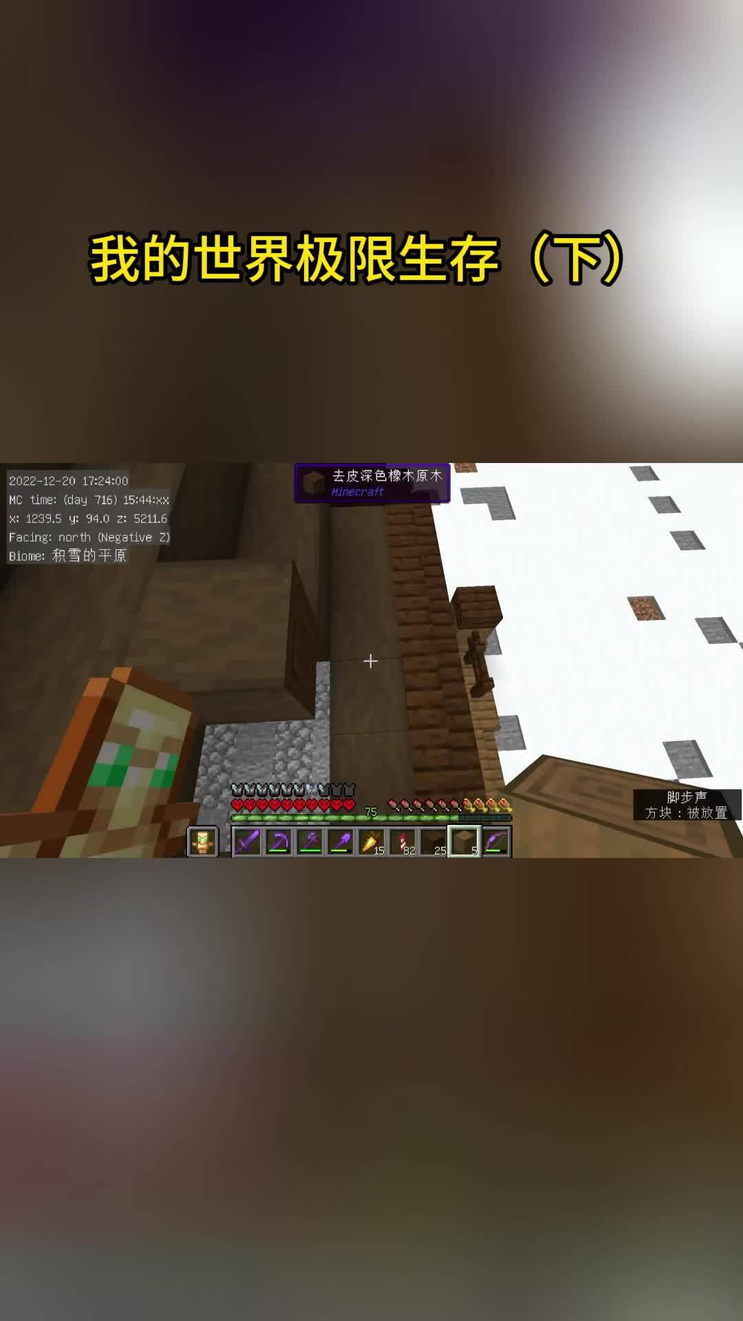 我的世界极限生存712~720天生存(下),建造圣诞小屋