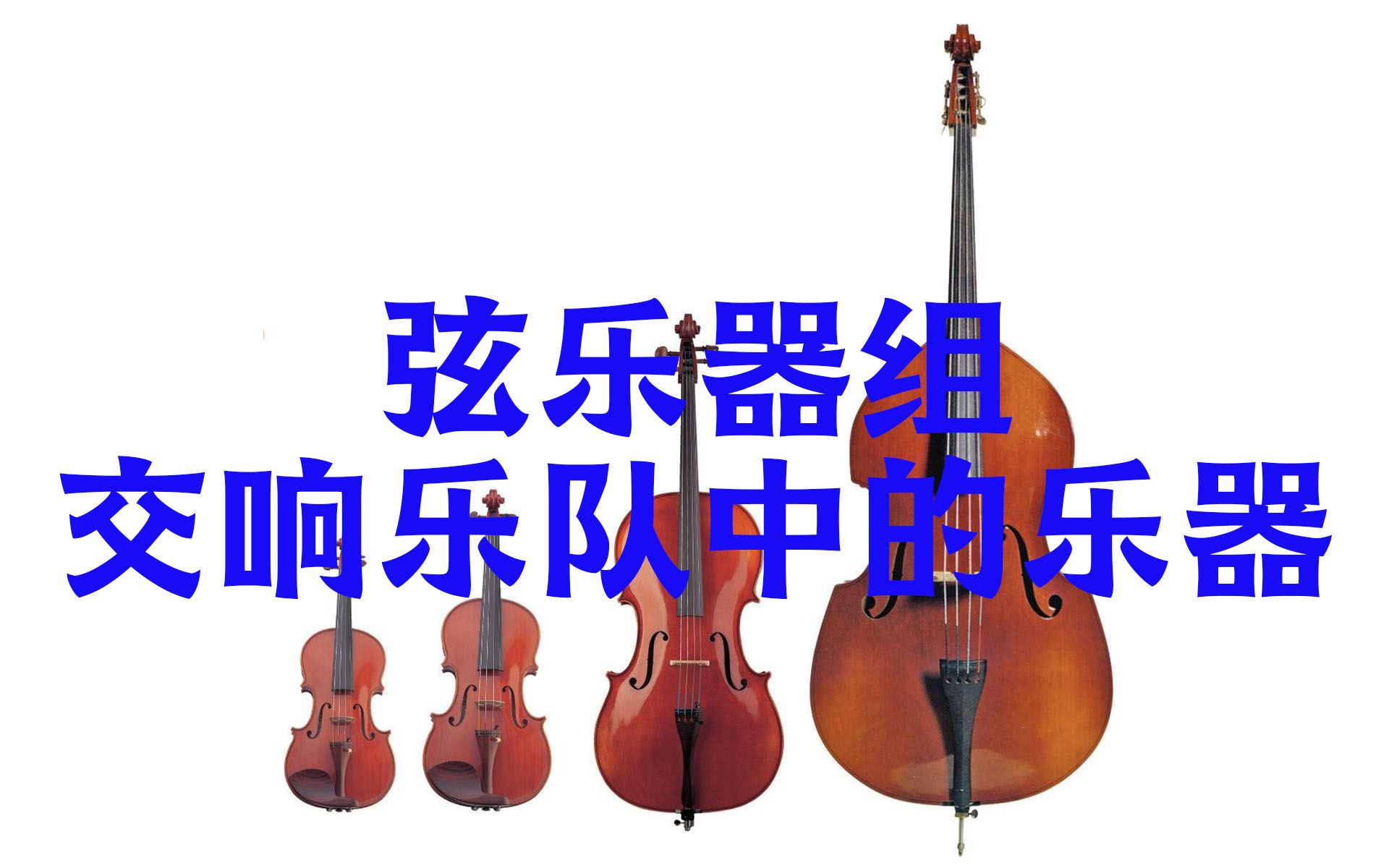 第四十九期管弦乐队中的乐器-弦乐器组(喜博版)