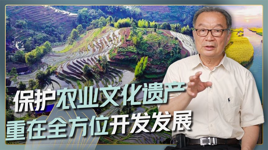 传统农业与现代农业背道而驰?农业文化遗产保护不能光靠农民!