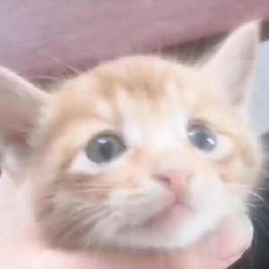 _爱玩游戏_ 